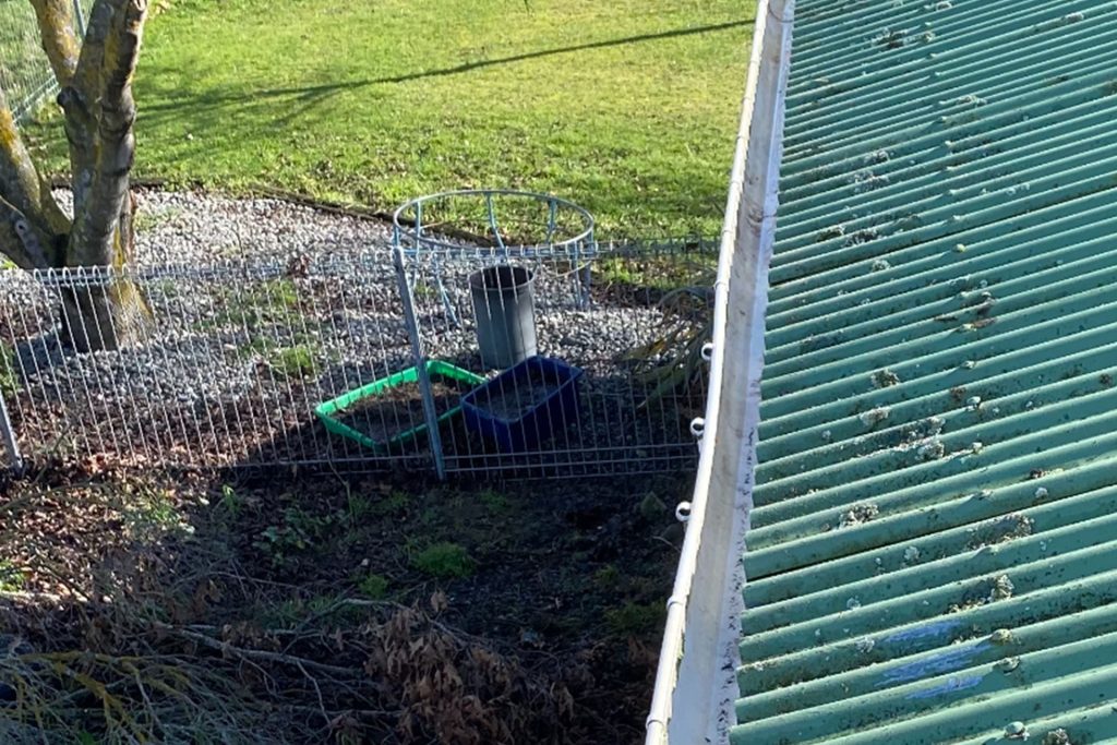 North Canterbury Waterblasting | Exterior Cleaning & Spider Proofing